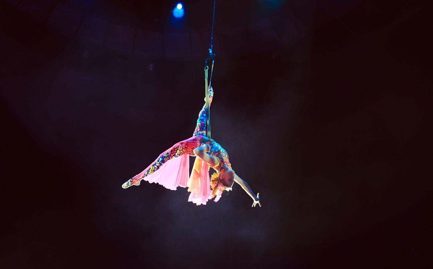 Circus & Aerial Performances - Southern Ropes